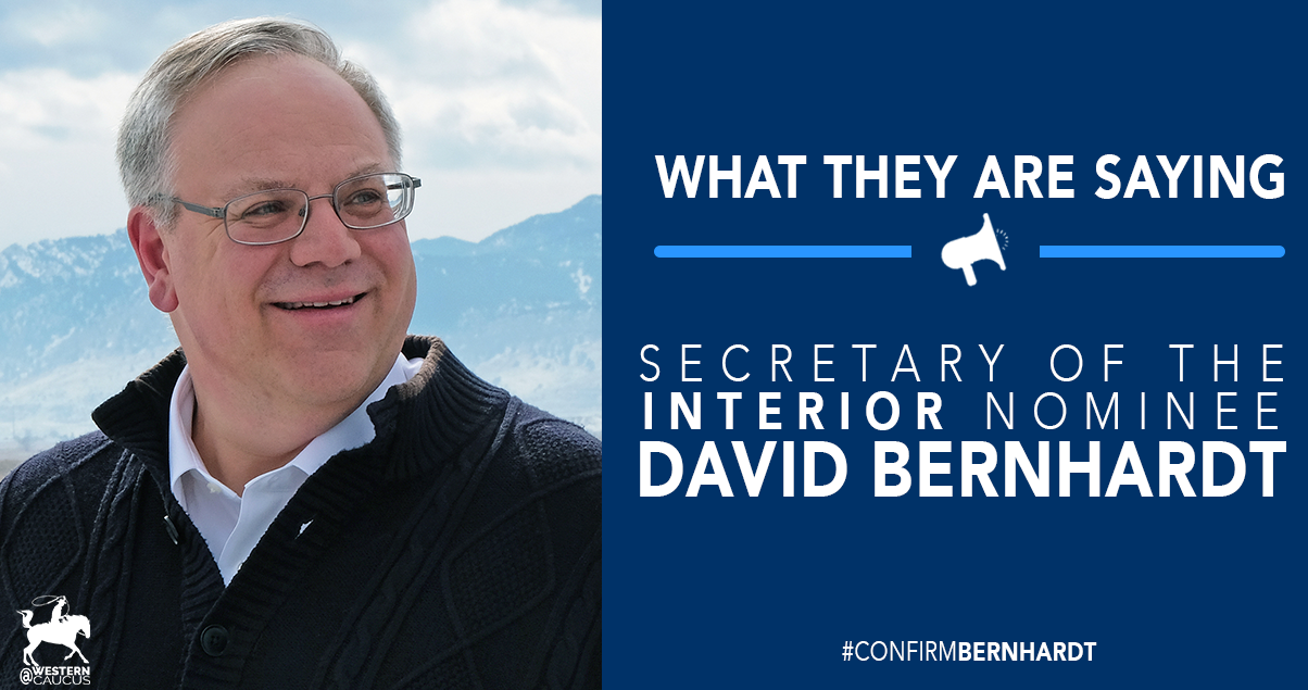Bernhardt Nomination Sails Through Committee with Bipartisan Support ...